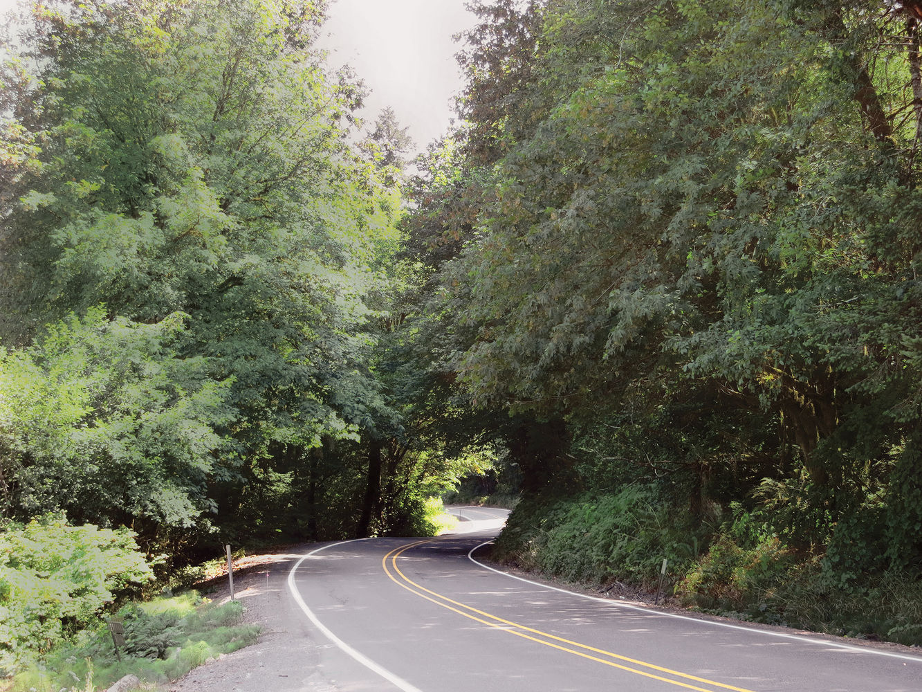 City Escape Salem Oregon City Escape Salem Oregon